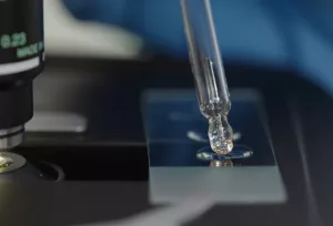 Terragen – Terragen is an agricultural biological company.