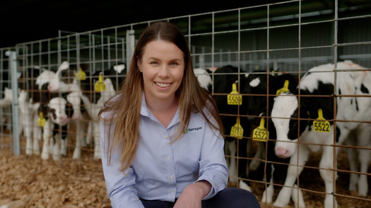 Calf Rearing Series – Terragen